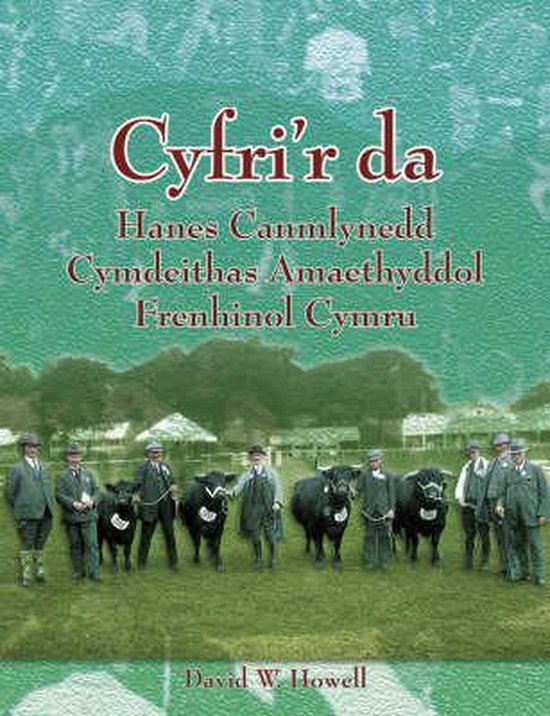 Cyfri'r Da, David W. Howell | 9780708318416 | Boeken | bol.com