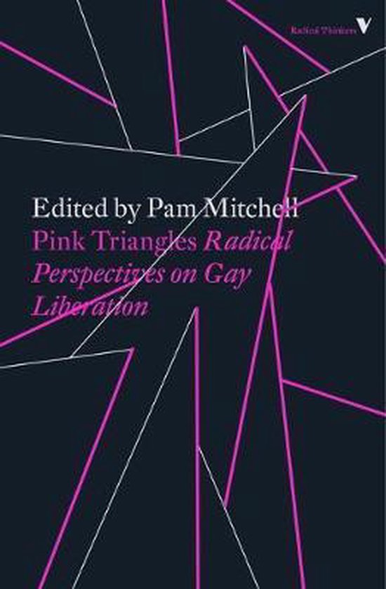 Pink Triangles, Pam Mitchell | 9781788732345 | Boeken | bol.com