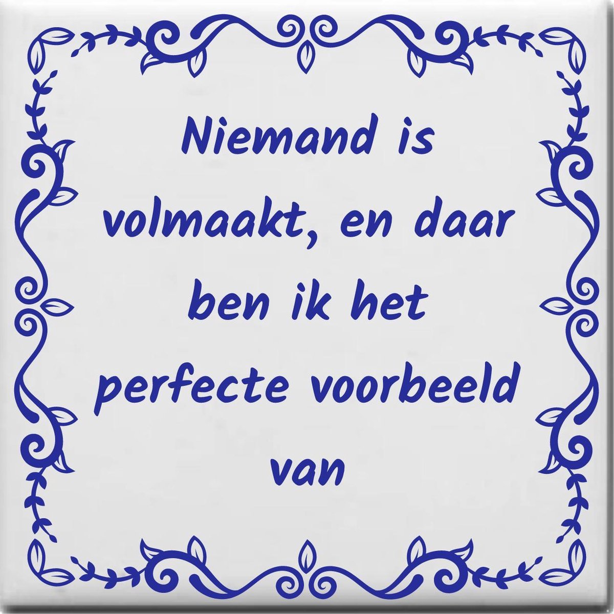 Wijsheden tegeltje met spreuk over Overig: Niemand is volmaakt en daar ben ik het... | bol.com