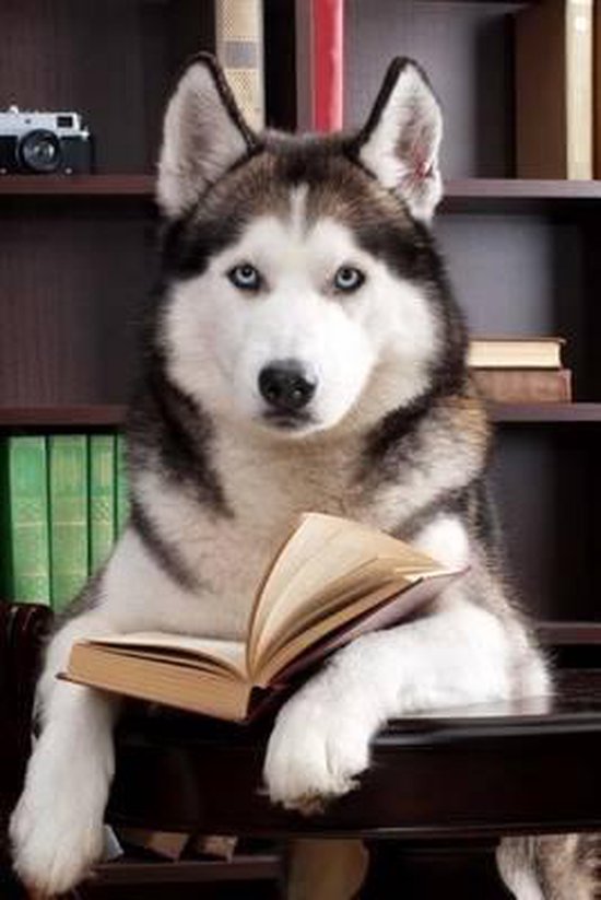 Siberian Husky Reading a Book Journal | 9781539713845 | Cs Creations ...