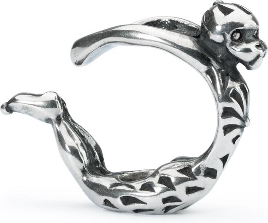 Trollbeads Durf | bol.com