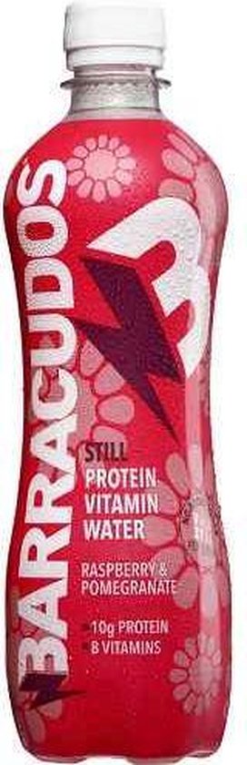 Protein Vitamin Water 12x 500ml Raspberry & Pomegranate | bol.com