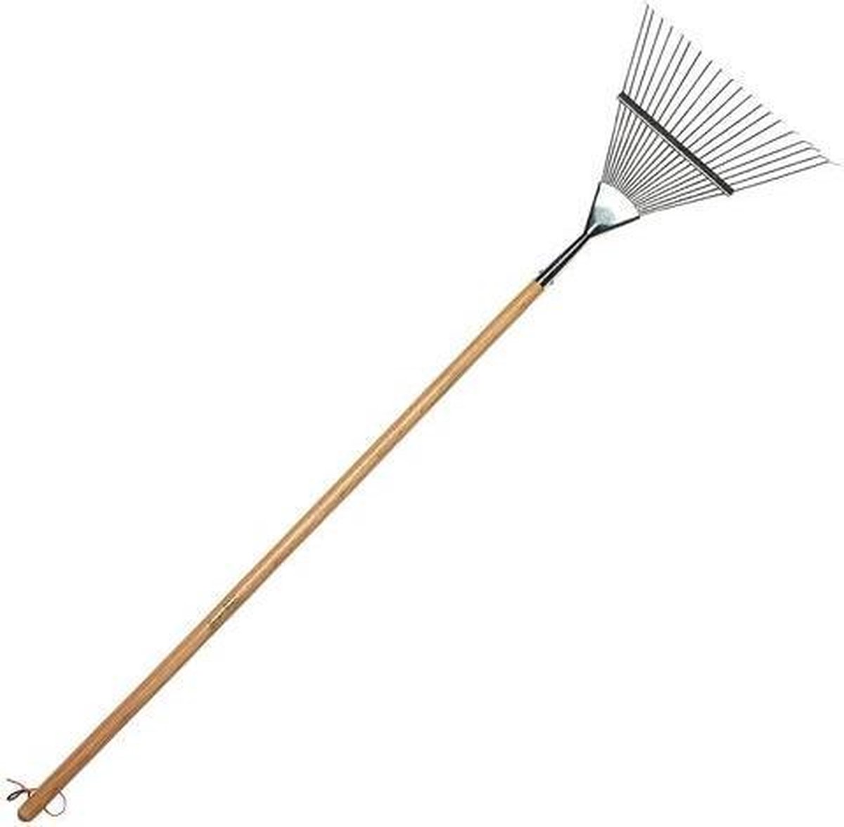 Bladhark / Grashark - RHS | bol.com