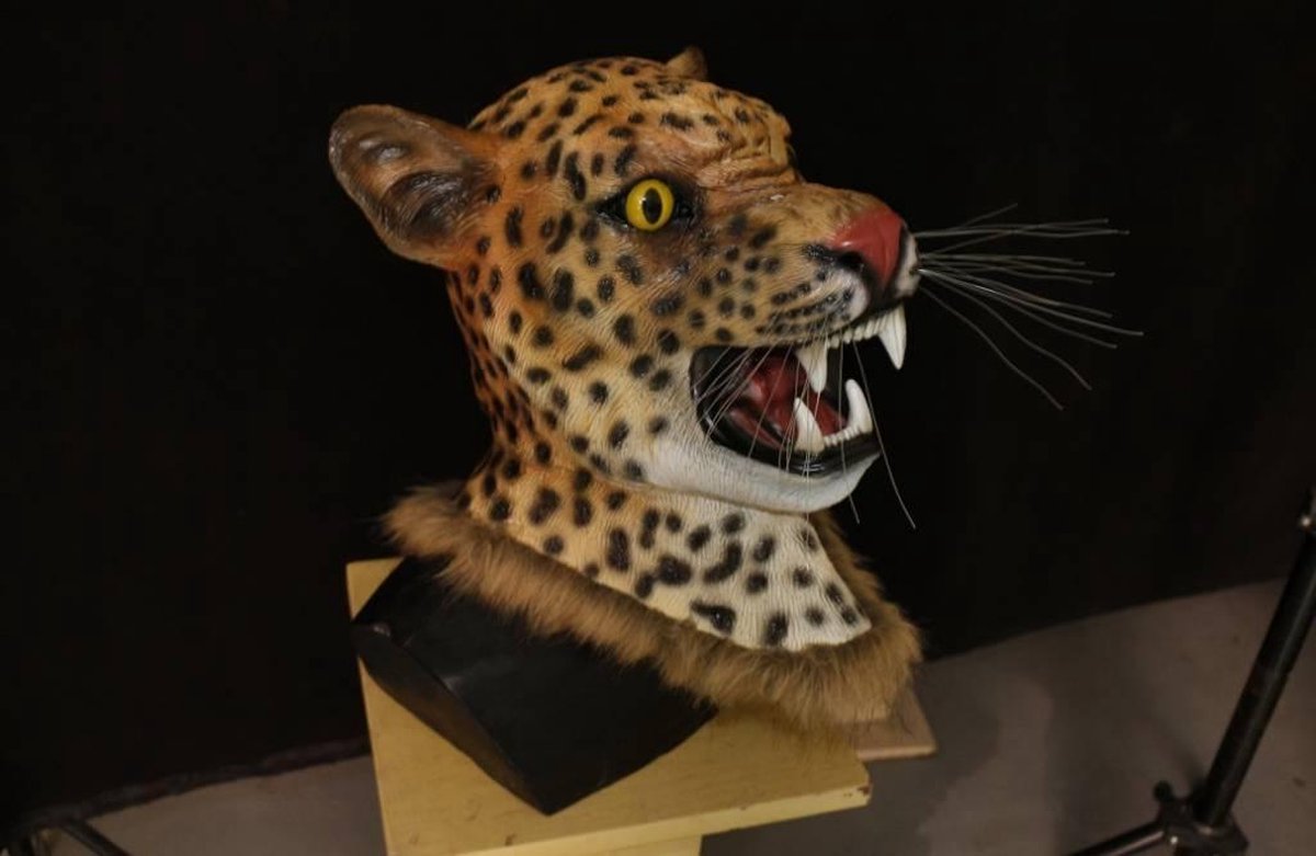 Luipaard masker Deluxe | bol.com