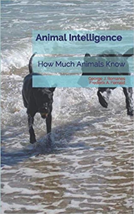 Animal Intelligence (ebook), George J Romanes | 9782366599114 | Boeken ...