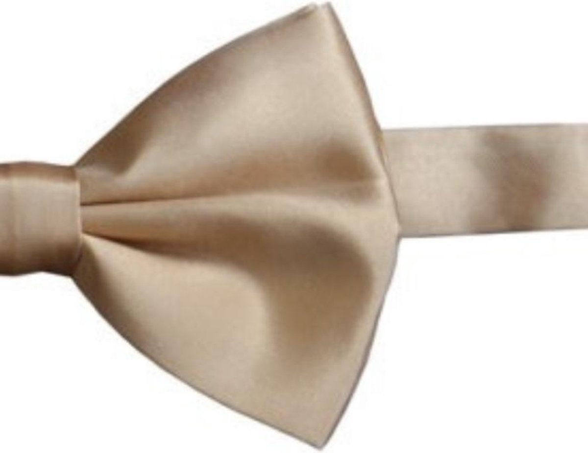 Champagne/gouden vlinderdas - | bol.com