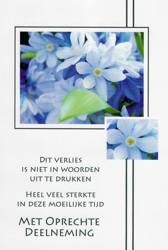 bol.com | Condoleance wenskaarten kleur 10 stuks assortiment ...