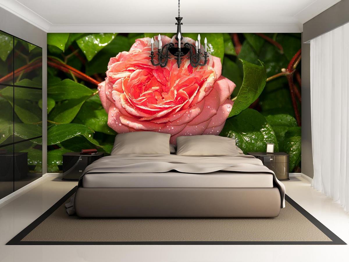 Photomural rose, revêtement mural | bol.com