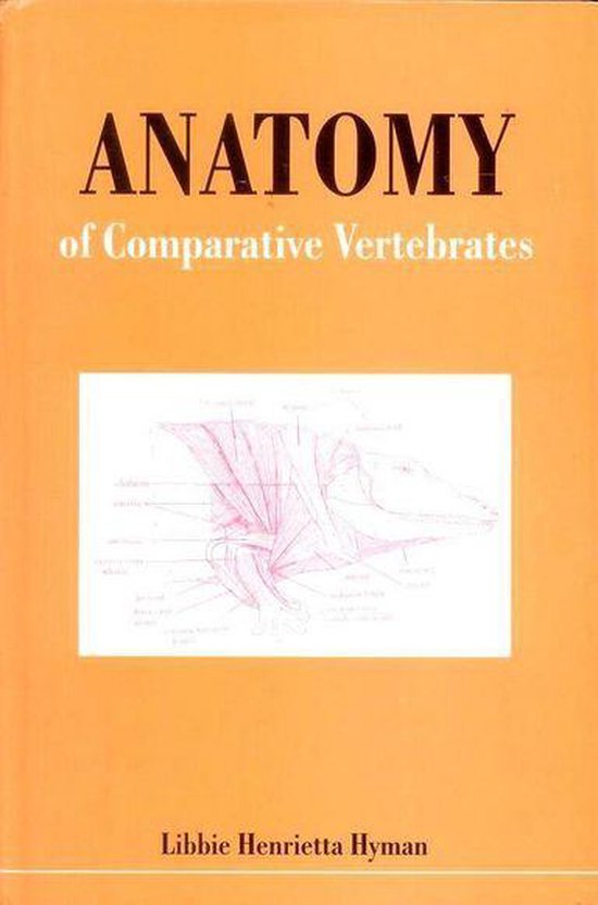 Anatomy of Comparative Vertebrates (ebook), Libbie Henrietta Hyman ...