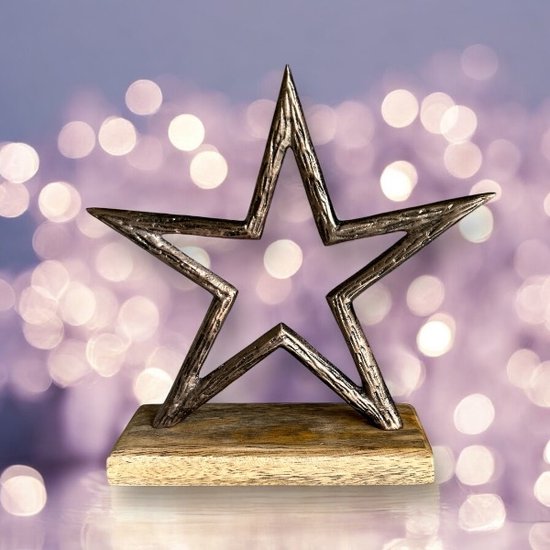 Ster op houten voet | bol