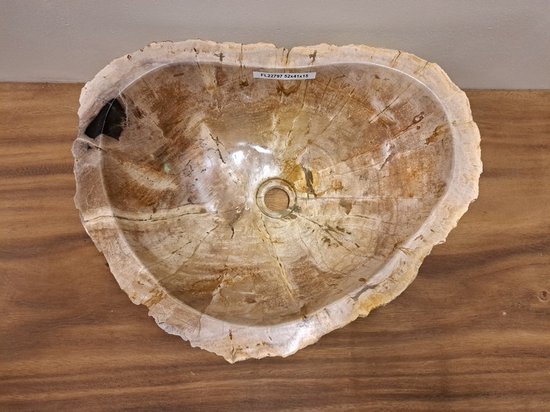 Waskom van versteend hout - 52x41x15cm - FL22797 | bol
