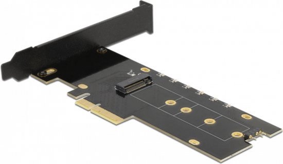 Delock PCI Express x4 Card to 1 x internal NVMe M.2 Key M with heat ...