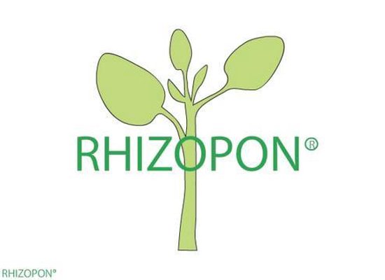 RHIZOPON CHRYZOTOP GROEN 0.25% 80 GRAM | bol