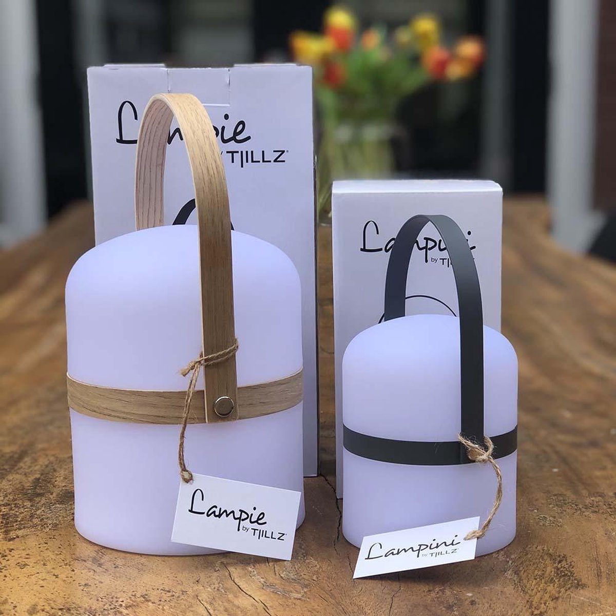 Tjillz Lampini USB-Oplaadbare LED lamp-Antraciet | bol