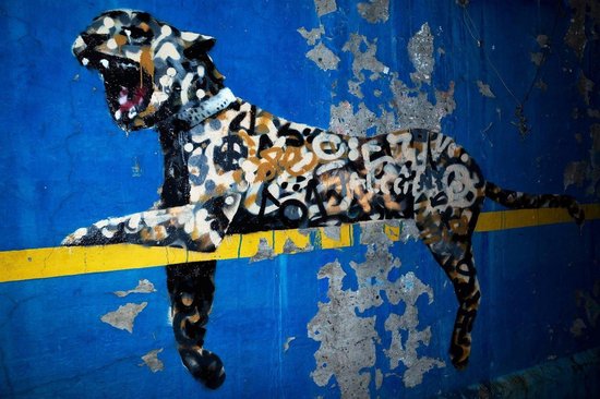 BANKSY Bronx Zoo Cheetah Canvas Print | bol