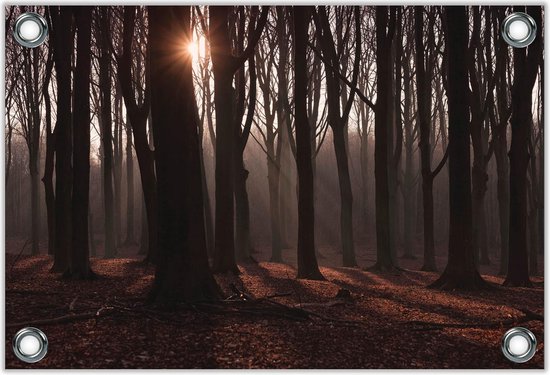 Tuinposter –Ochtendzonnetje in het Bos– 120x80 Foto op Tuinposter ...