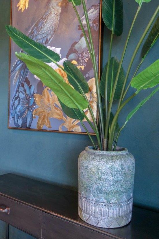 PTMD Pot in combinatie met strelitzia plant | bol