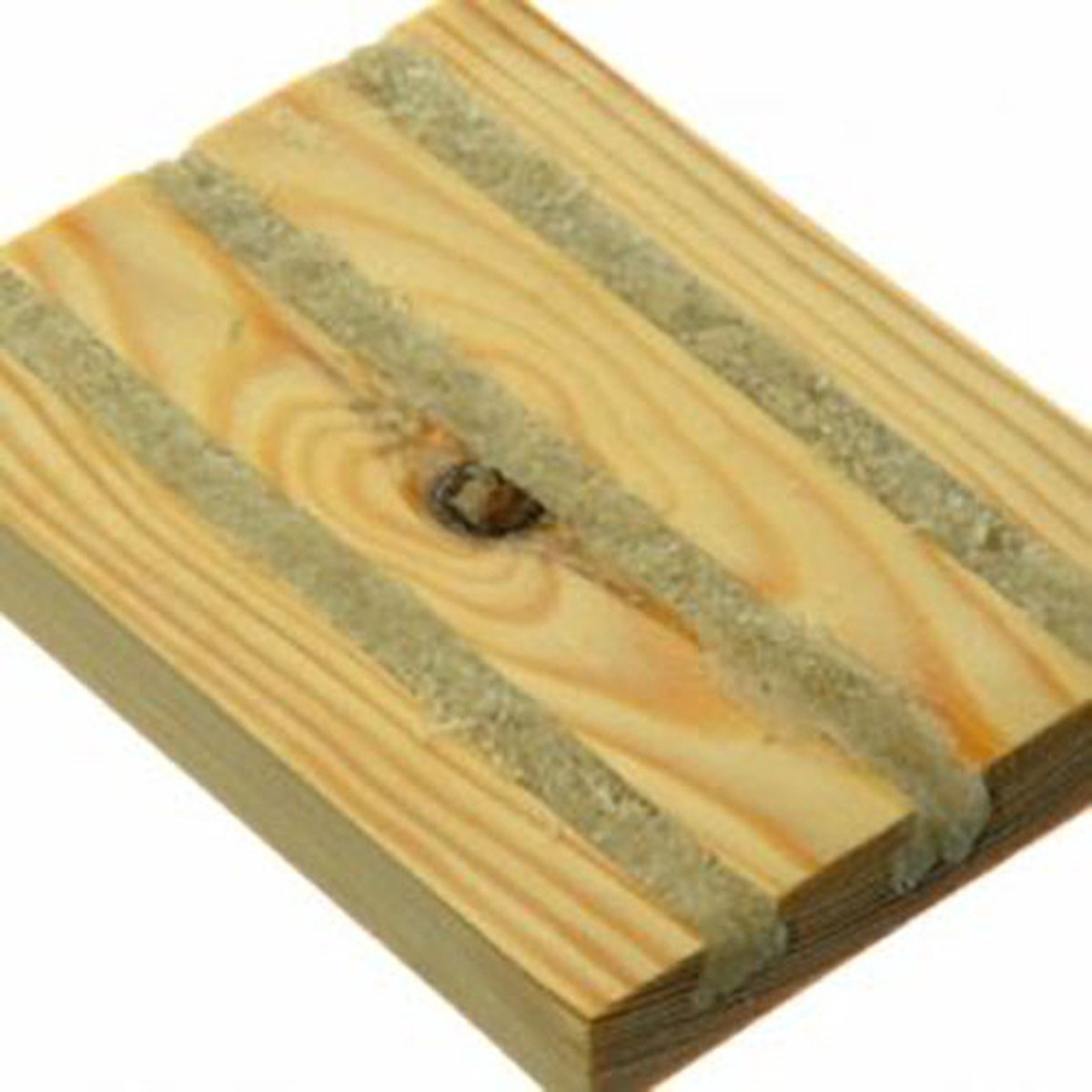 Bestrijden taxuskever (snuitkever) met aaltjesval - aaltjes - nematoden ...