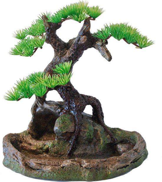 Bonsai Boom Op Rots - 17.5 cm | bol