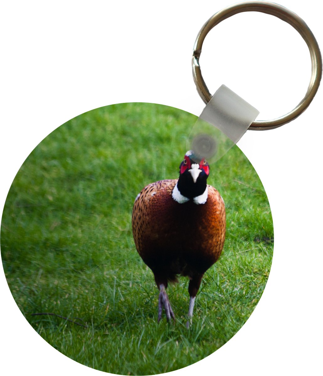 Sleutelhanger - Fazant - Wild - Engeland - Plastic - Rond ...