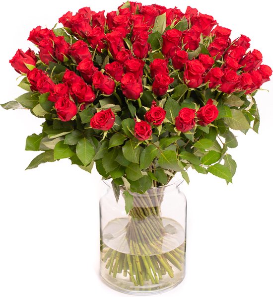 70 Rode Rozen - Boeket Rozen | bol