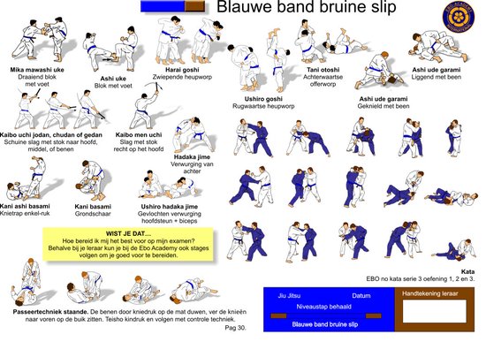Jiu Jitsu van jeugd tot de zwarte band, Mario den Edel | 9506788814248 ...