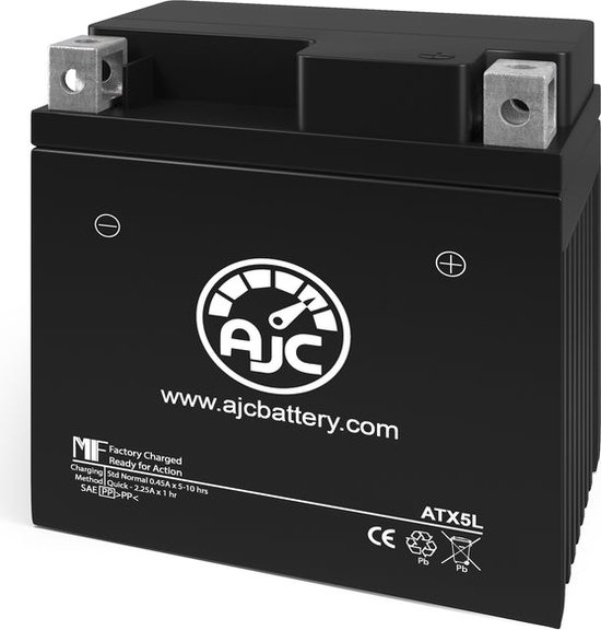 E-Ton Matrix 50 Scooter en bromfiets Vervangingsaccu (2012) | bol.com