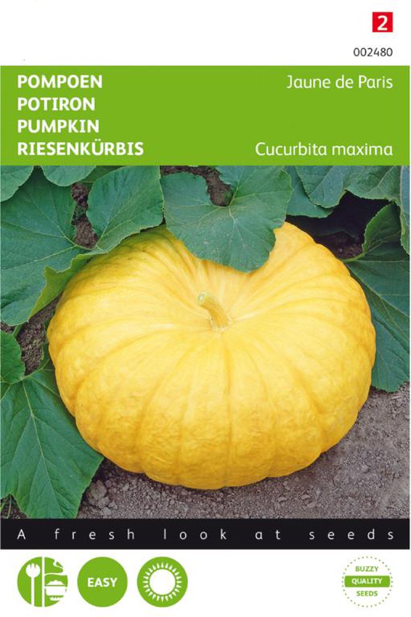 Cactula pompoenen zaden set van 6 soorten | Pompoenen Jack O'Lantern ...