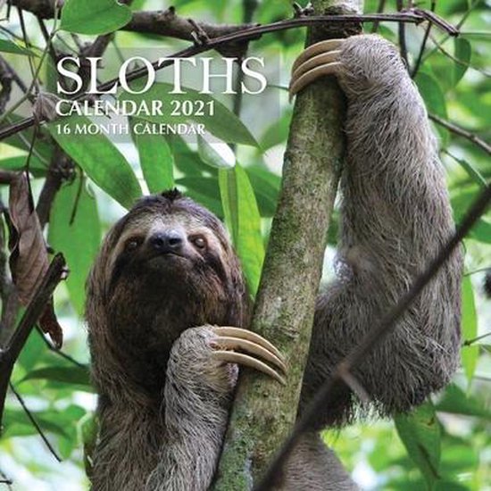 Sloths Calendar 2021, Golden Print | 9798554993374 | Boeken | bol.com