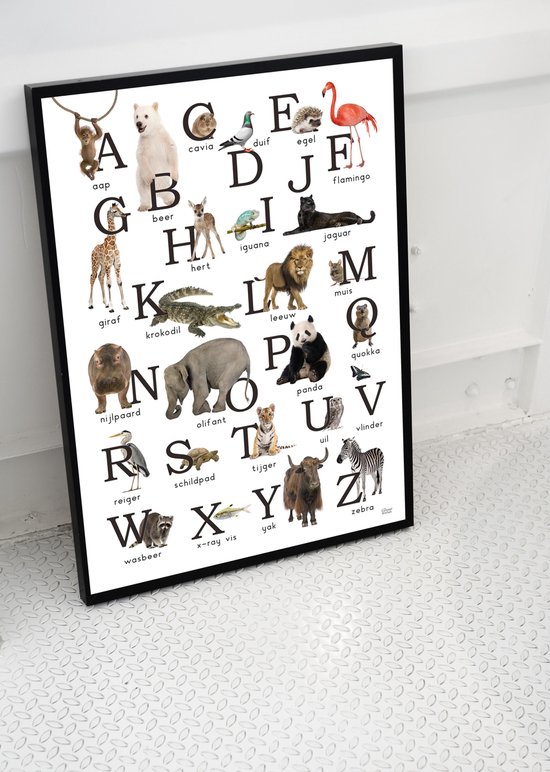 Affiche alphabet ABC animaux sauvages néerlandais 50x70 cm | bol