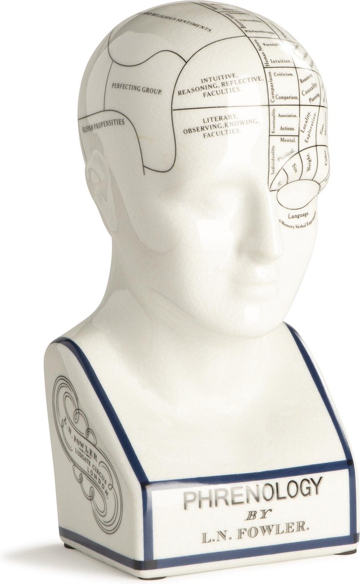 Authentic Models - Frenologie hoofd - "Phrenology Head" small - frenologie -... | bol