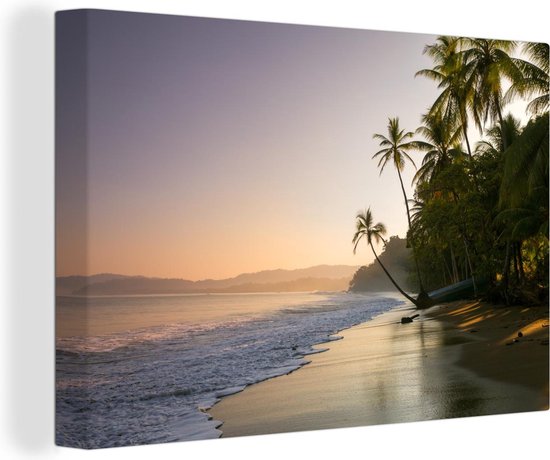 Canvas Schilderij Strand - Zee - Palmboom - 60x40 cm - Wanddecoratie | bol.com