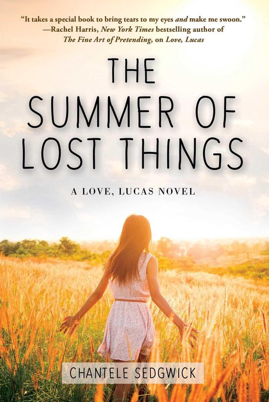 A Love, Lucas Novel - The Summer of Lost Things (ebook), Chantele ...