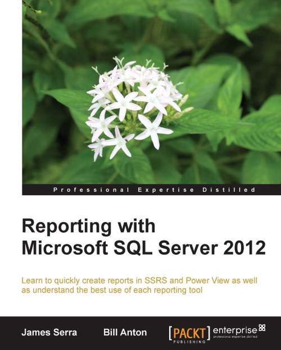 Reporting with Microsoft SQL Server 2012 | bol.com