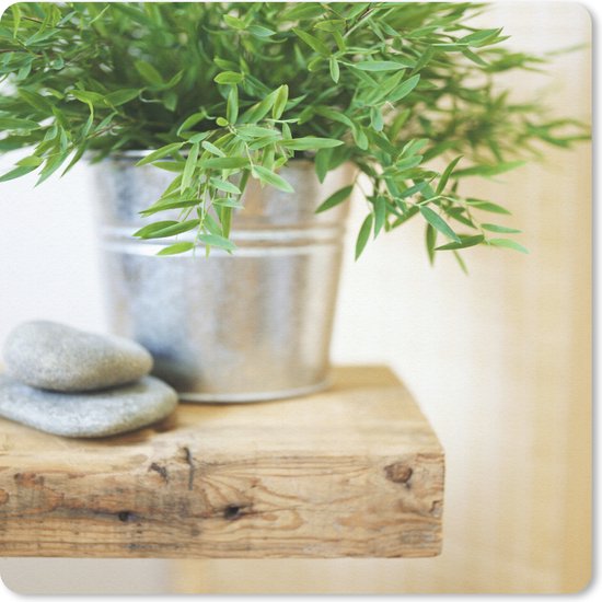 Muismat - Mousepad - Metalen bak vol met dragon plantjes op een houten ...