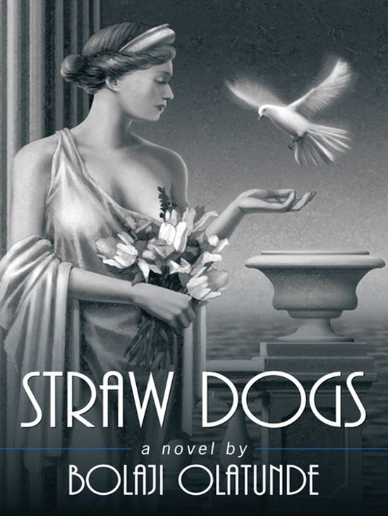 Straw Dogs (ebook), Bolaji Olatunde | 9781456776077 | Boeken | bol.com