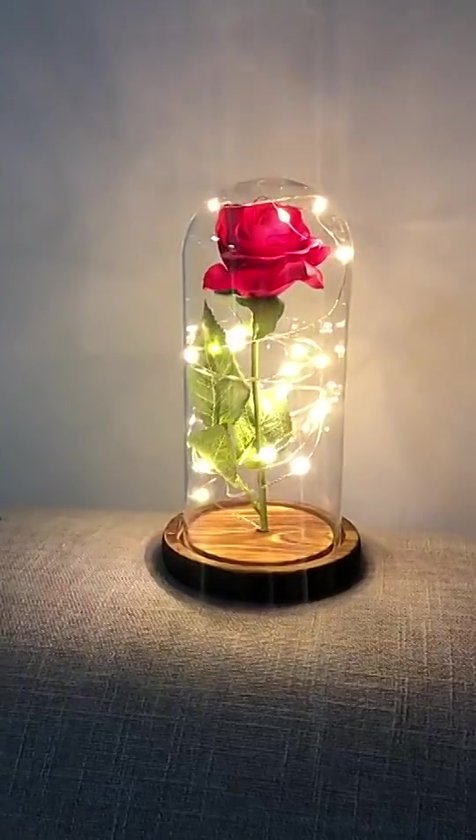Roses of love - Rood roos in glazen stolp met LED - Beauty and the ...