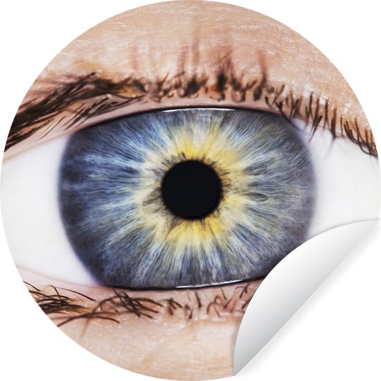 Behangcirkel - Blauw gekleurd oog - ⌀ 120 cm - Muurcirkel - Zelfklevend ...