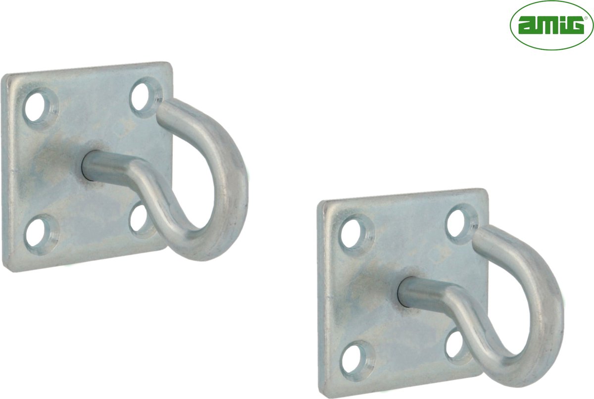 AMIG Haak op plaat 50x50mm – Verzinkt Staal Ø8mm – 2 stuks | bol.com