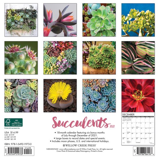 Succulents Kalender 2022 | bol.com