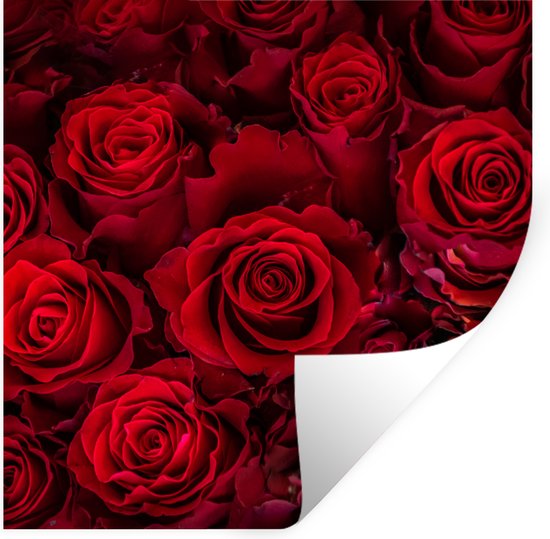 Muurstickers - Sticker Folie - Bloemen - Rozen - Rood - 120x120 cm ...
