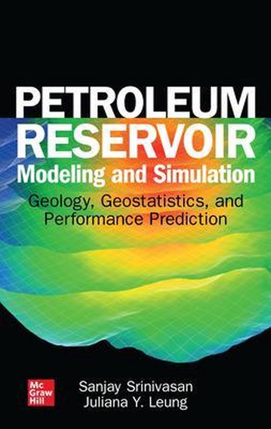 Petroleum Reservoir Modeling and Simulation: Geology, Geostatistics ...