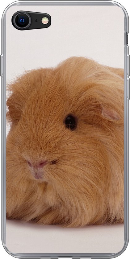 Telefoonhoesje Geschikt voor iPhone SE 2020 hoesje - Sheltie cavia ...