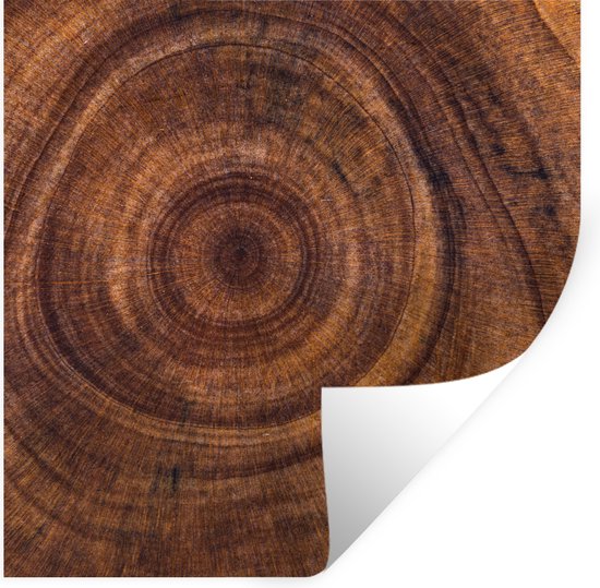 Muurstickers - Sticker Folie - Cirkel - Hout - Ringen - 120x120 cm ...