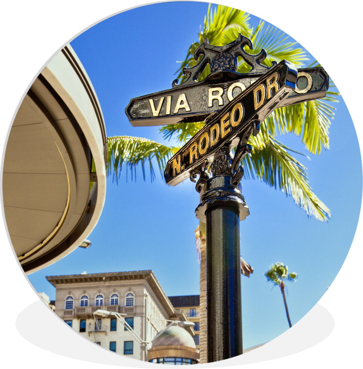 Wall Circle - Indoor Wall Circle - Plaques de Rue sur un Palmier à ...