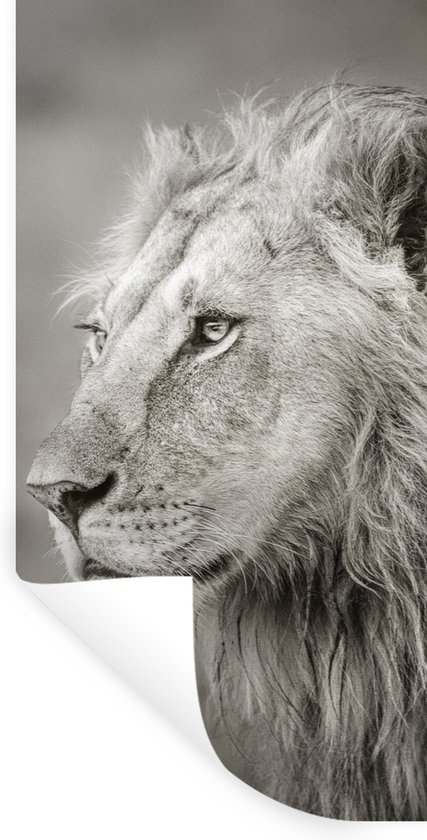 Muurstickers - Sticker Folie - Leeuw - Wilde dieren - Zwart - 20x40 cm - Plakfolie -... | bol