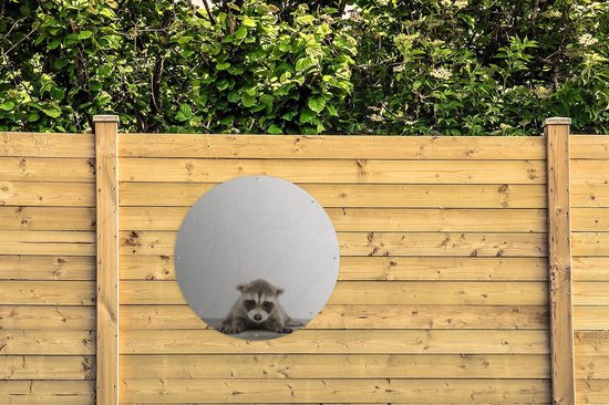 Tuincirkel Dieren - Wasbeer - Wit - Baby - 90x90 cm - Ronde Tuinposter ...