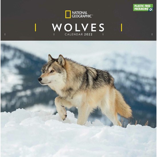 National Geographic Wolves - Wölfe 2022 | bol.com