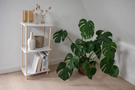 Houten meubel rek - meubel rek kast - meubel rekje - wandkastje ...