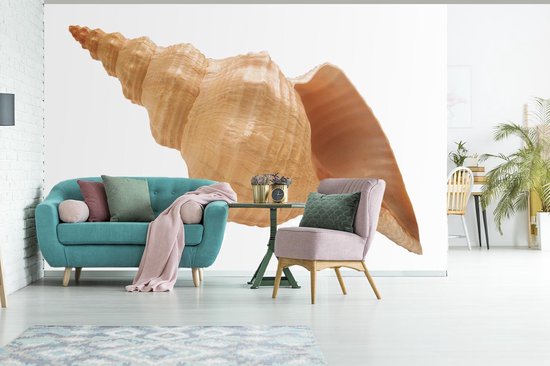 Behang - Fotobehang Schelp - Beige - Wit - Breedte 390 cm x hoogte 260 ...